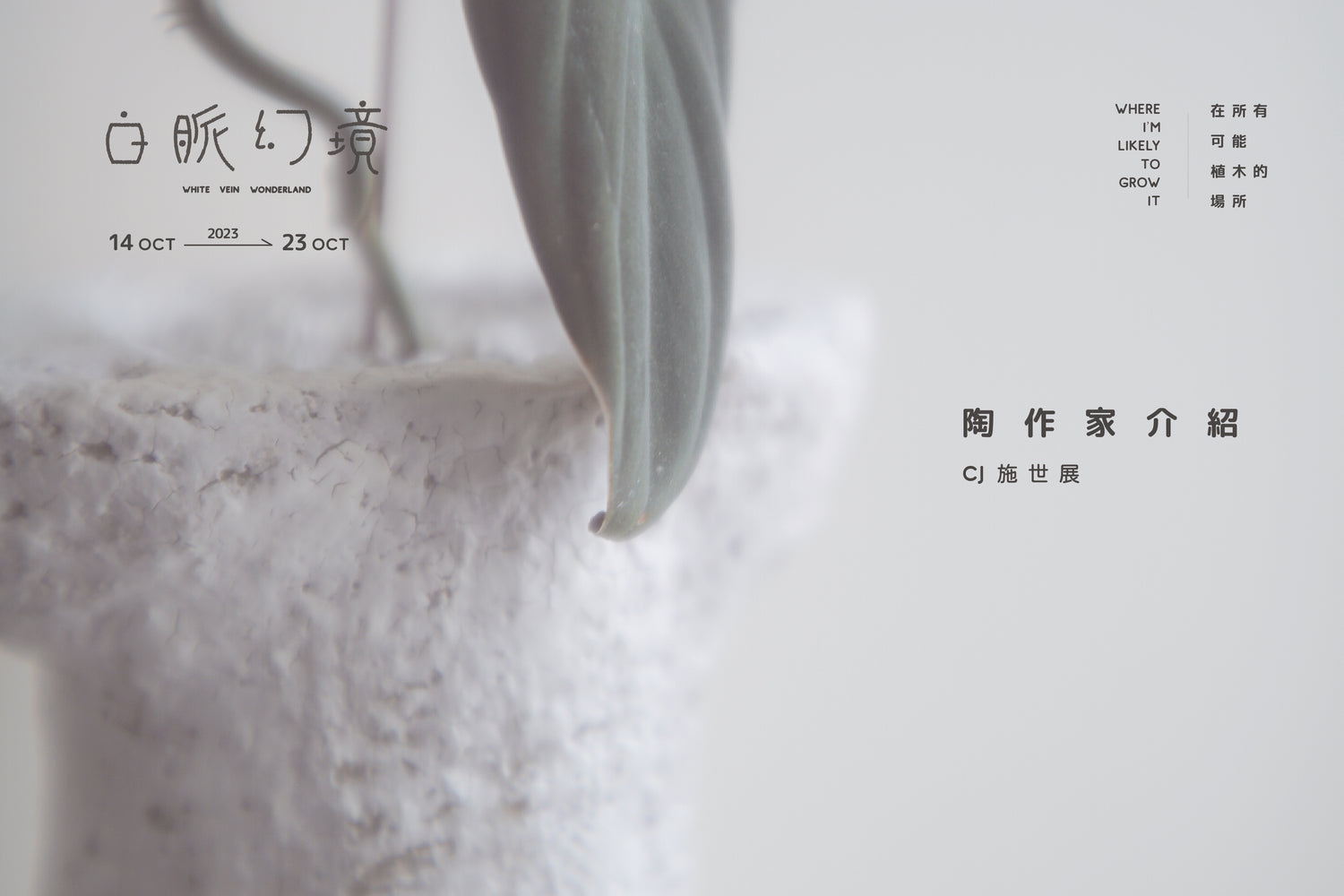 ALL - Forest Round Round