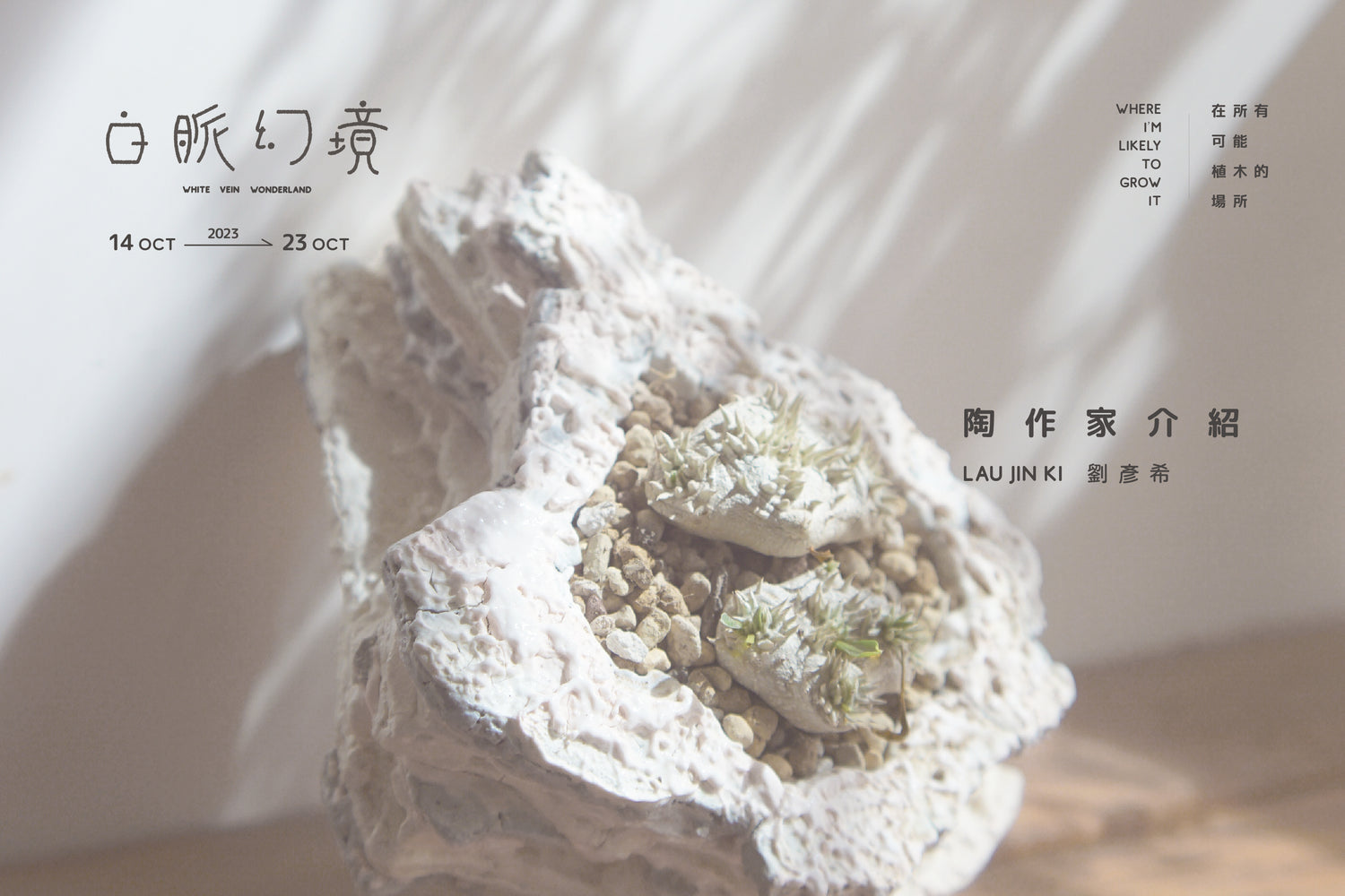 ALL - Forest Round Round