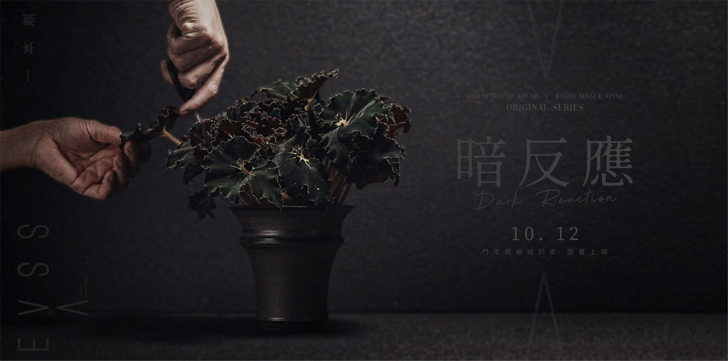 ALL - Forest Round Round