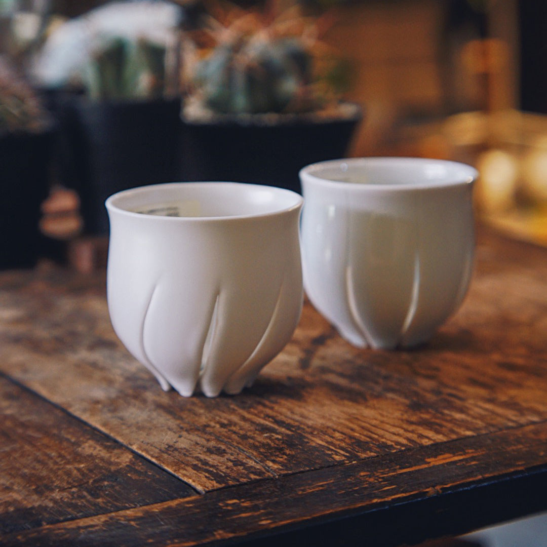 Forest Round Round- 多肉植物 / 塊根植物 / 盆景 / 室內植物 / 植木鉢 植物店