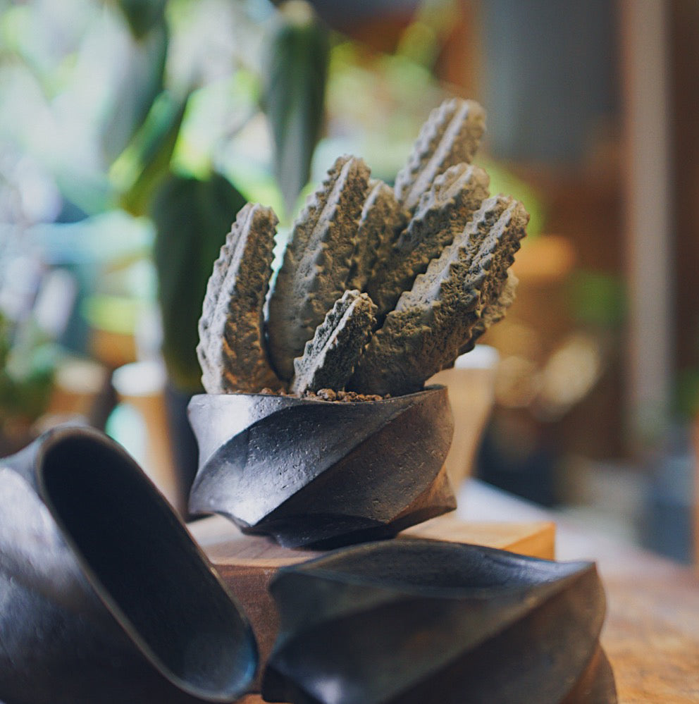 Collections Archive - Forest Round Round