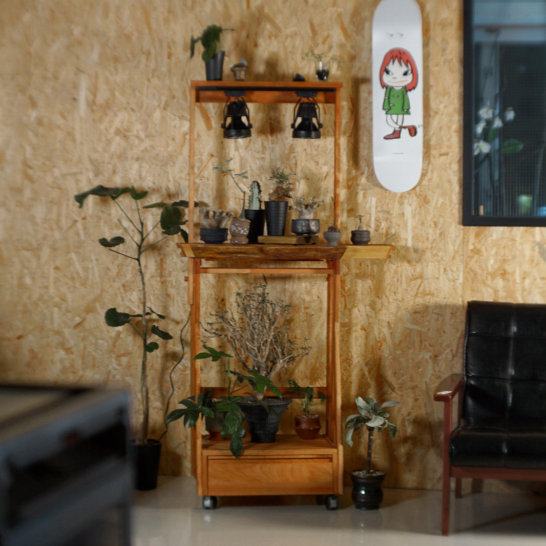 COLLABRATION ITEMS - Forest Round Round